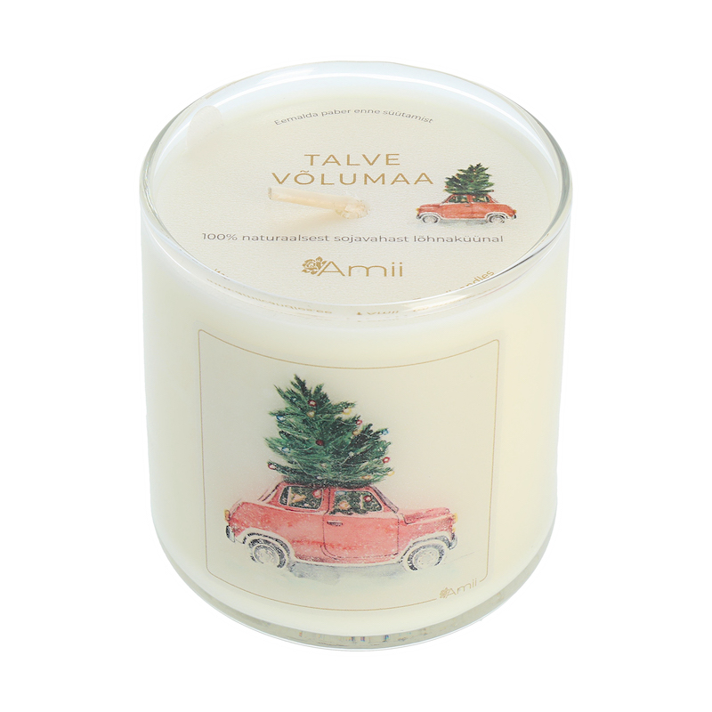 Talve võlumaa - Amii